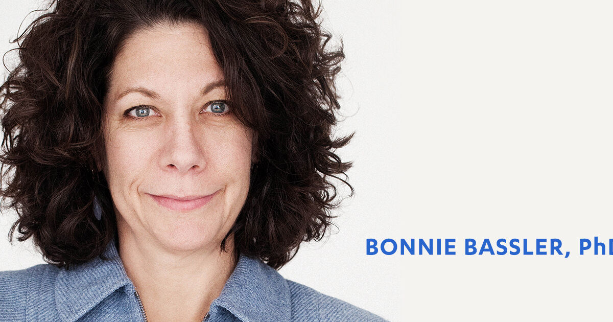 Liberty Science Center :: Get inspired by Princeton’s Chair of ...