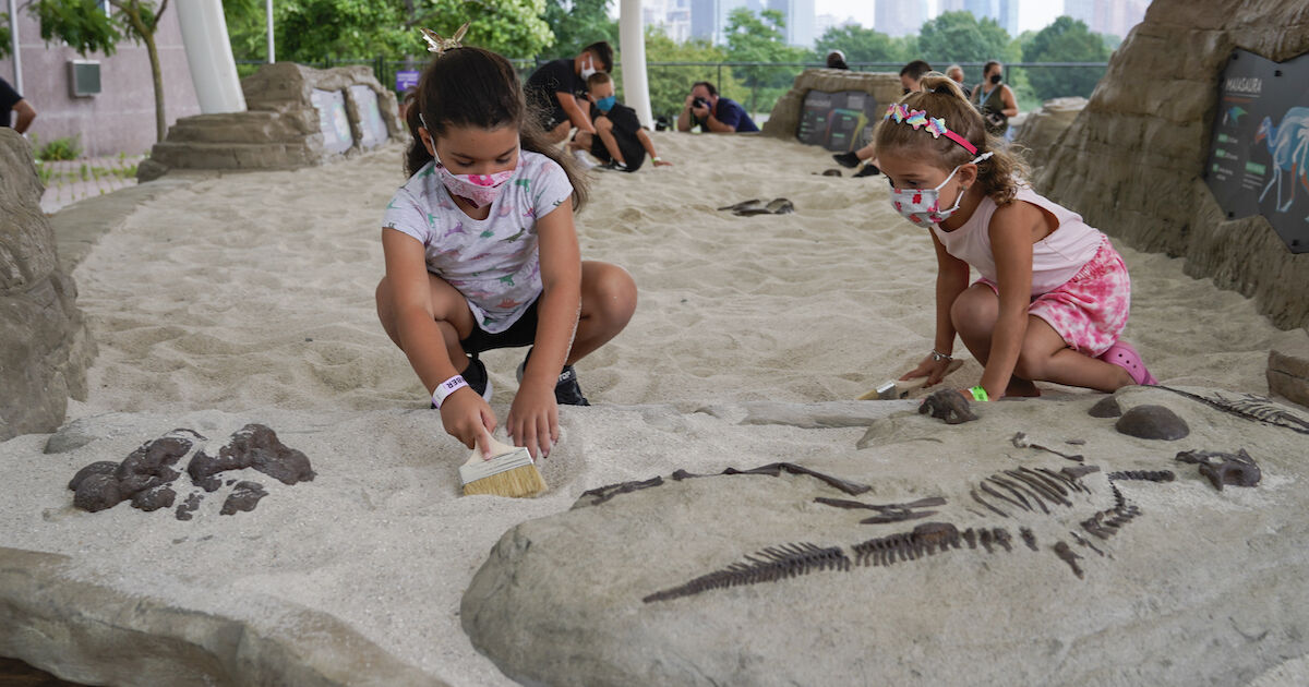 Liberty Science Center :: 7/19/21 Dino Dig Adventure