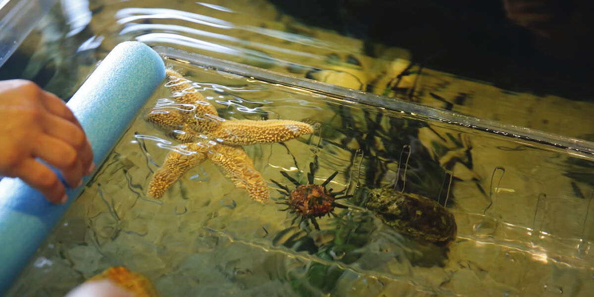 Liberty Science Center :: LSC's Animal Update: June 3, 2020