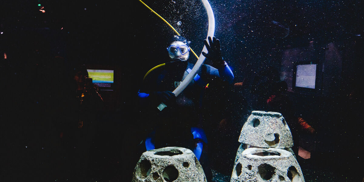 Liberty Science Center :: Watch our diver clean the 8-foot-deep fish tank