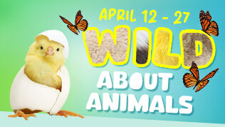 Liberty Science Center :: Wild About Animals