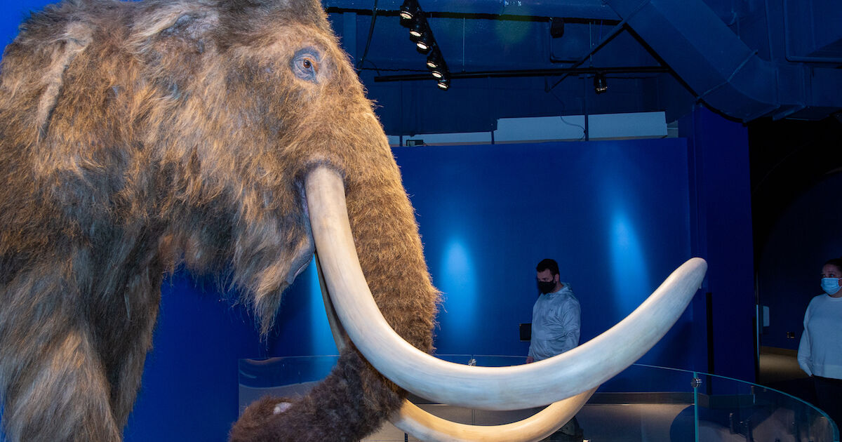 Liberty Science Center :: 11/21/20 Making Mammoths