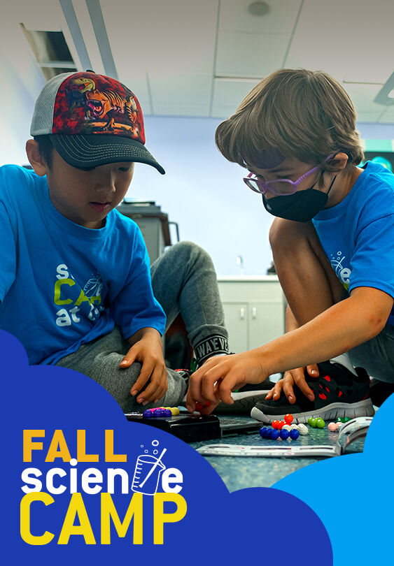 Science Camp | Liberty Science Center