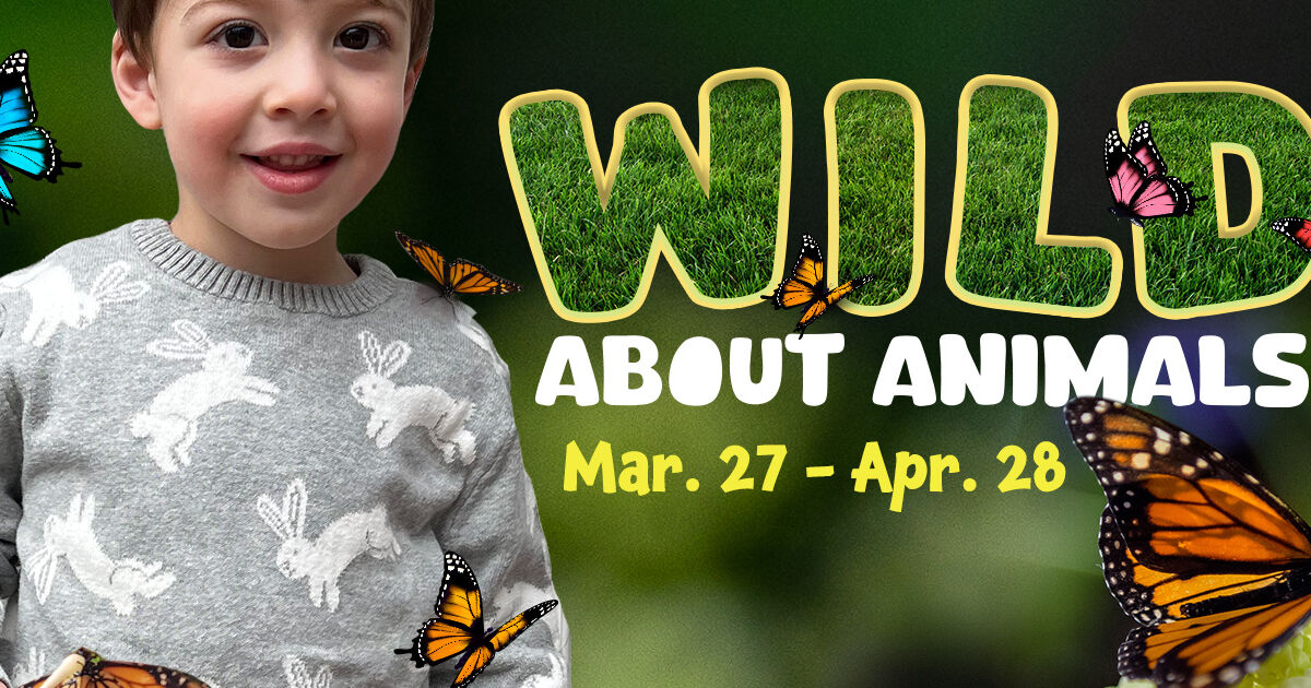 Liberty Science Center :: Wild About Animals
