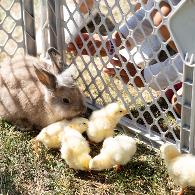 Liberty Science Center :: Wild About Animals