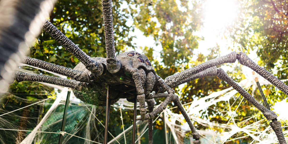 Liberty Science Center :: LSC's giant maze is home to 8 massive spiders