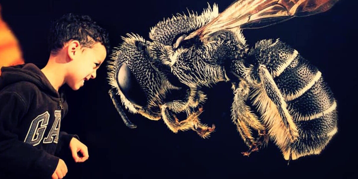 Liberty Science Center :: Congrats to the 12 Days of Science 2018 photo ...