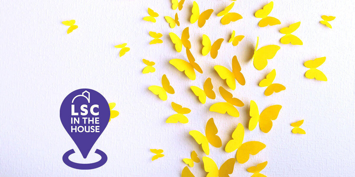 Liberty Science Center :: Static Electricity Butterfly