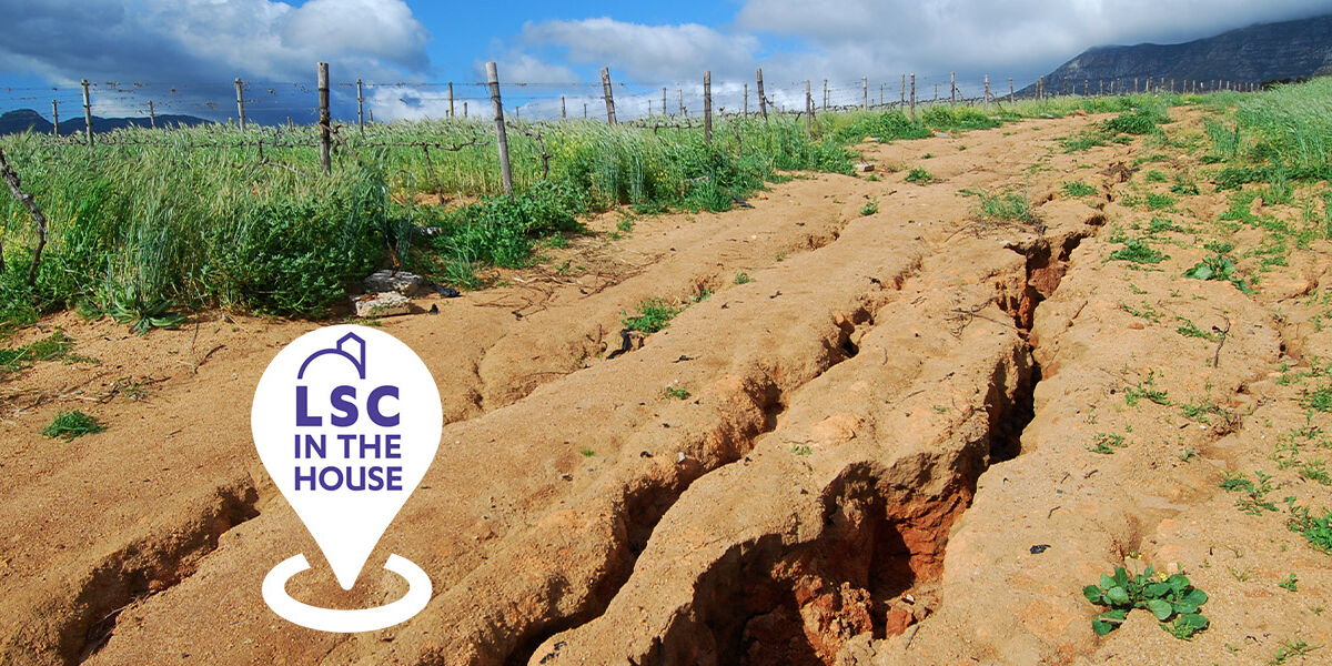 Liberty Science Center :: The Roots of Erosion