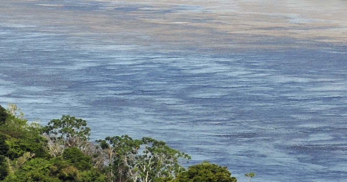 Liberty Science Center :: Exploring the hidden reefs of the Amazon River