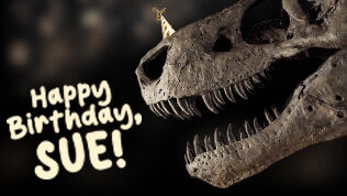 Liberty Science Center :: SUE: The T. rex Experience