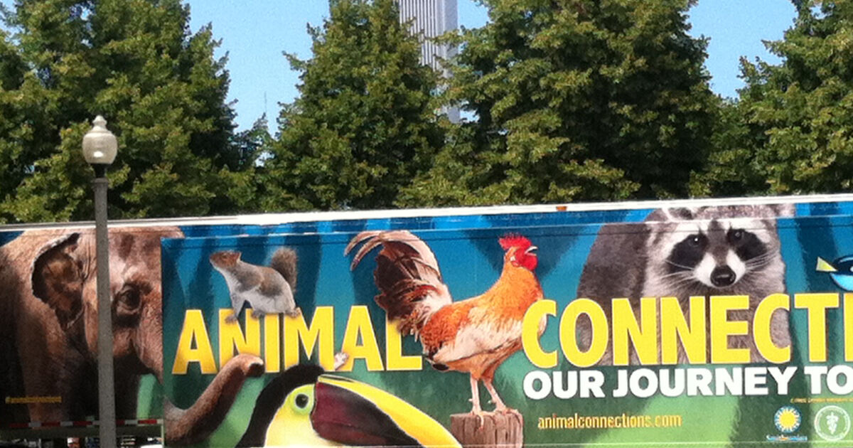 Liberty Science Center :: Traveling 'Animal Connections' Smithsonian ...