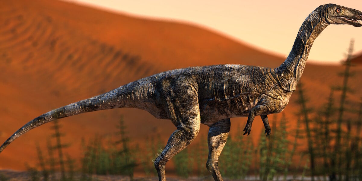 Liberty Science Center :: Scientists have uncovered a new, desert ...