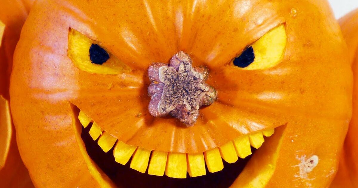 Liberty Science Center :: Pumpkin carving competition Liberty Science ...